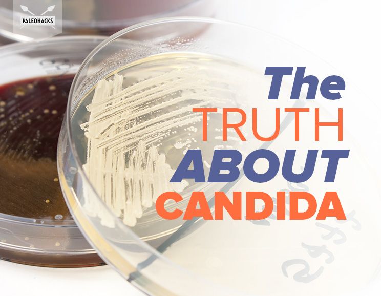 The Truth About Candida