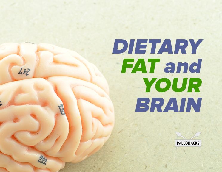Dietary Fat and How it Affects Your Brain | PaleoHacks