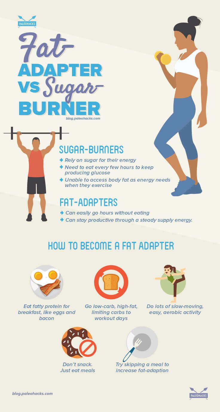 Fat-Adapter VS Sugar-Burner | How to Create Lasting Energy