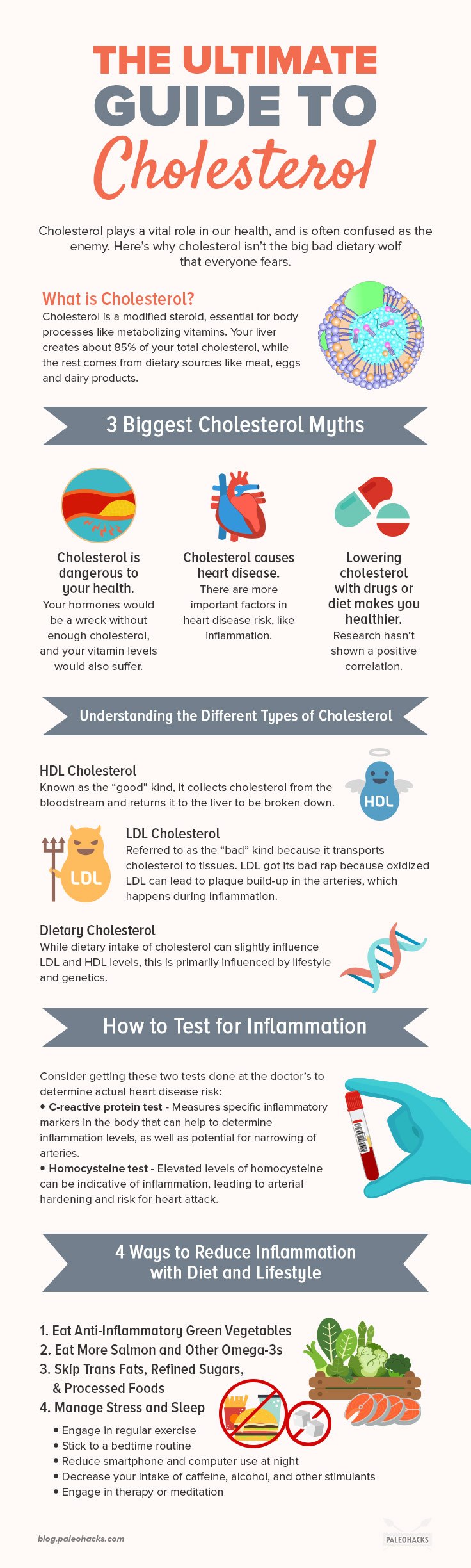 The Ultimate Guide to Cholesterol | PaleoHacks Blog
